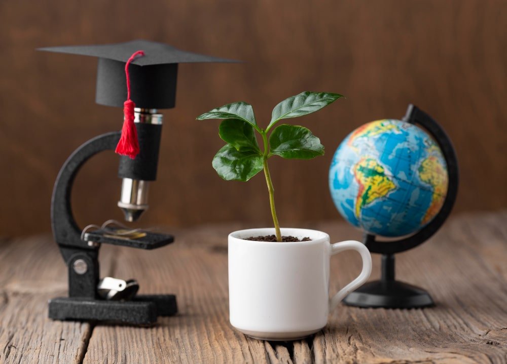 Sycamore Education: Benefits, and School Management Insights